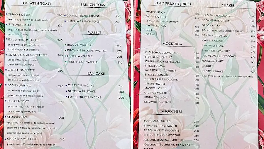 The Magnolia Cafe in Jaipur - Coffee and In Between