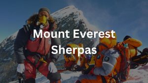 Mount Everest Sherpas: Who are the High Altitude Guides?