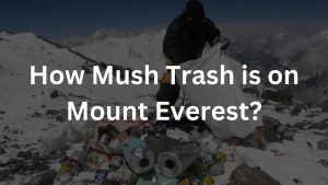 Mount Everest Trash: The World’s Highest Garbage Dump